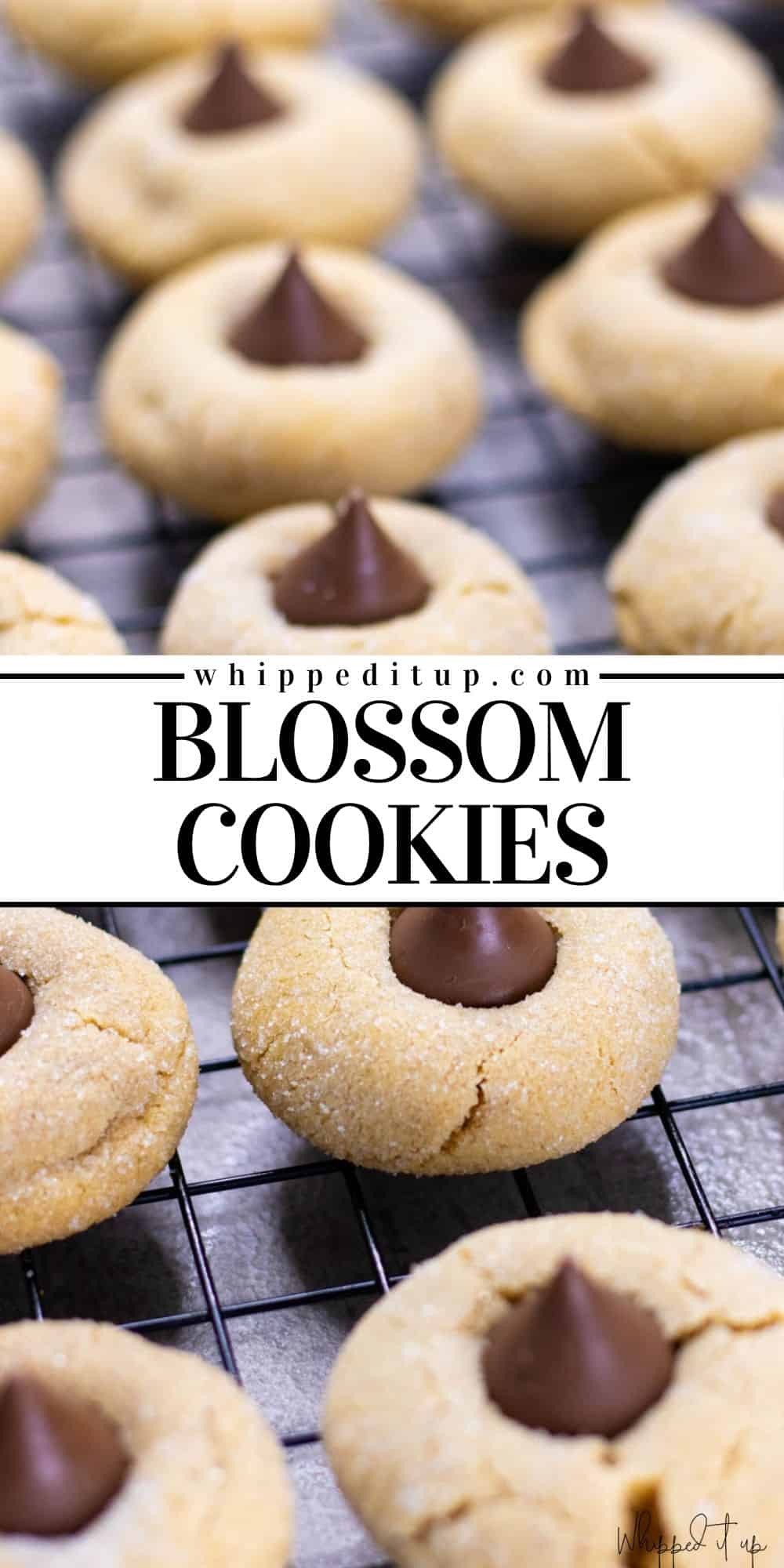 Classic Peanut Butter Blossom Cookies - Whipped It Up