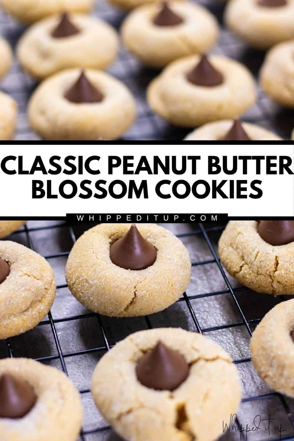 Classic Peanut Butter Blossom Cookies - Whipped It Up