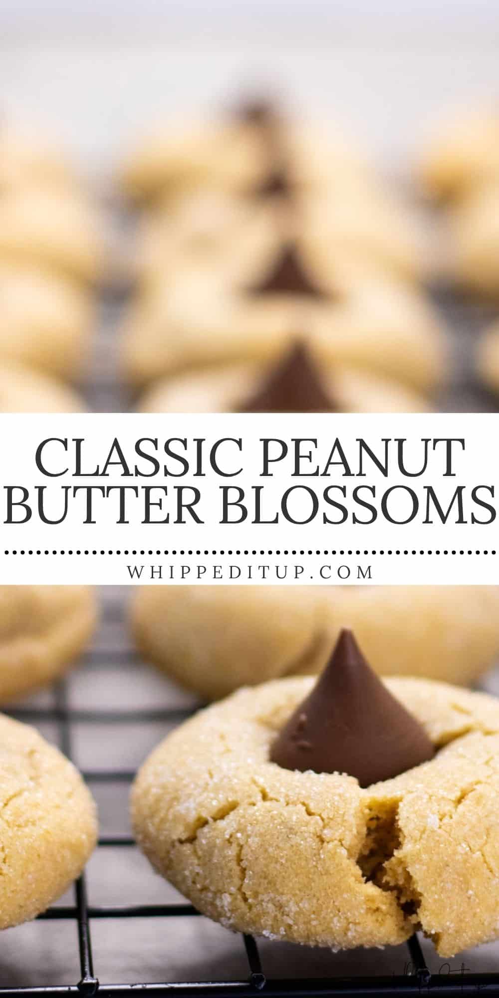 Classic Peanut Butter Blossom Cookies - Whipped It Up