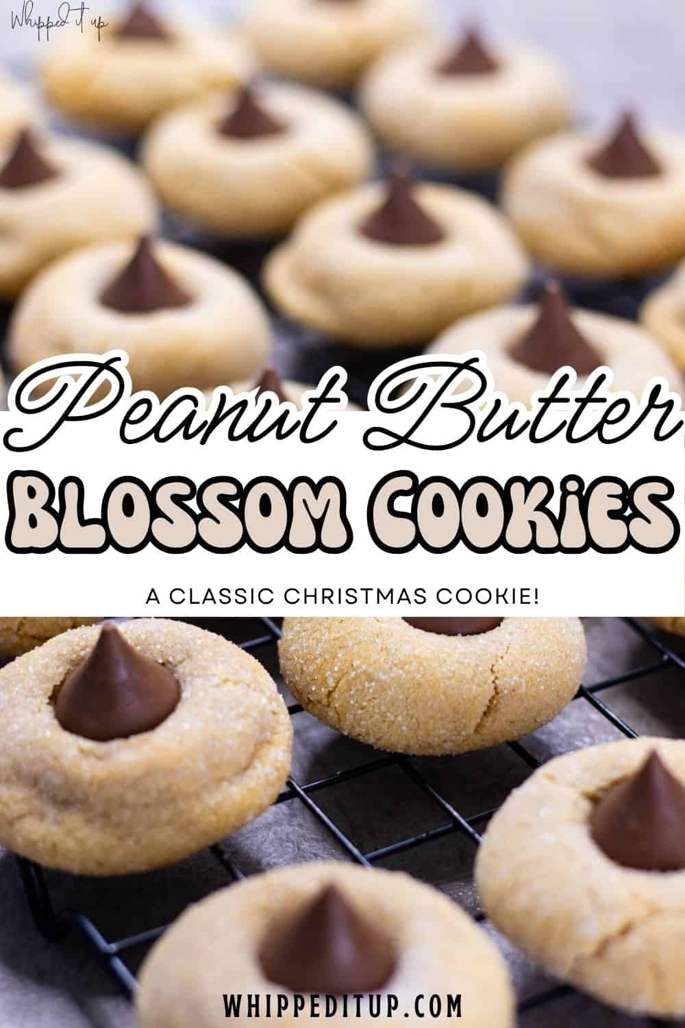Classic Peanut Butter Blossom Cookies - Whipped It Up