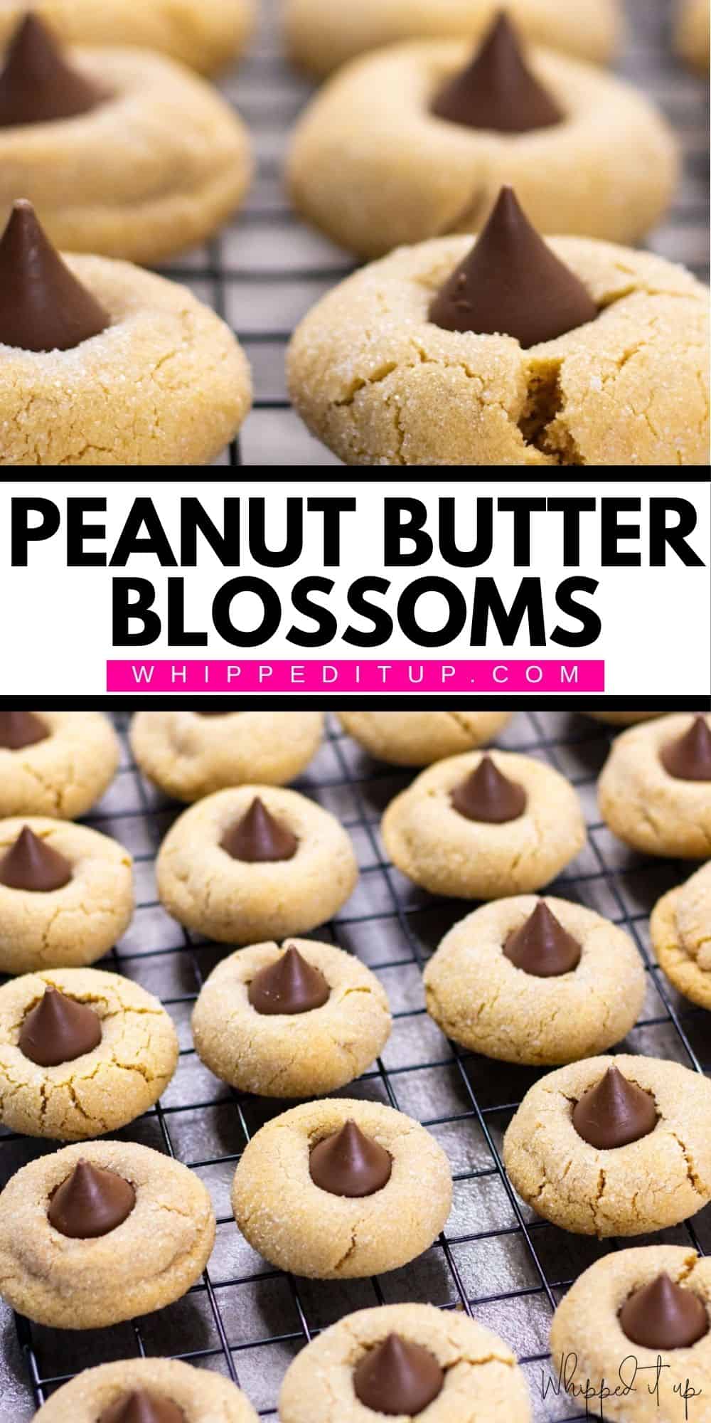Classic Peanut Butter Blossom Cookies - Whipped It Up